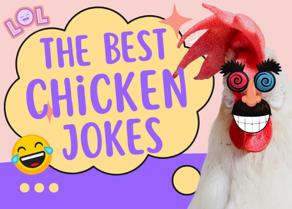 We have The Ultimate Chicken Joke List! No Yolk, You’ll Crack Up!😂 ...