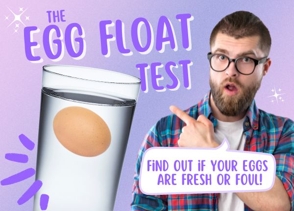 Egg Float Test💧– How To Test If Your Eggs Are Fresh Or Foul ...