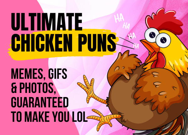 The Ultimate Chicken Puns with Memes, GIFS and photos guaranteed to ma ...
