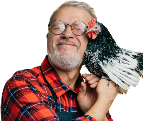 Chicken Experts | The Chicken Keeping Experts You Can Trust & Rely On