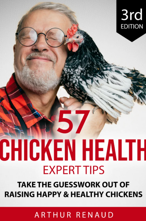 The Top 10 Fluffy Chickens & How to Care for Them + PHOTOS! 📸 - chickenexperts